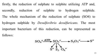 Sulphur cycle | PPTX