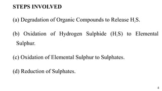 Sulphur cycle | PPTX