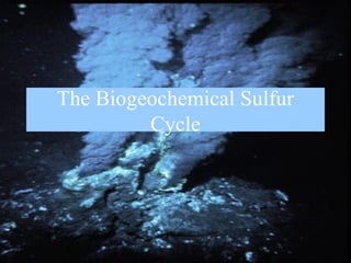 SULPHUR CYCLE Biogeo chemical cycle...... | PPT