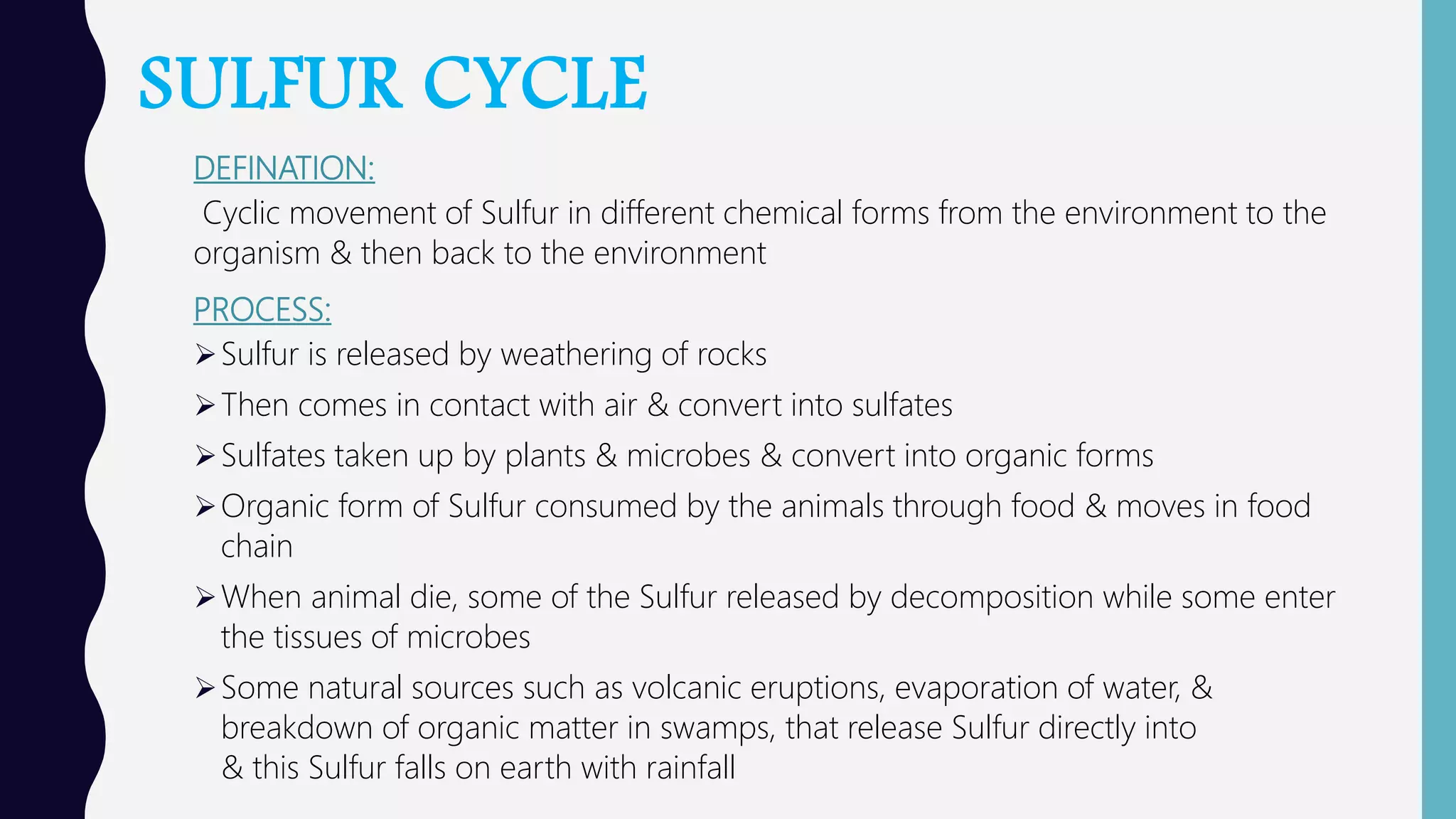 Sulphur cycle1 | PPT