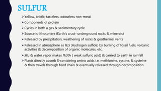 Sulphur cycle1 | PPT