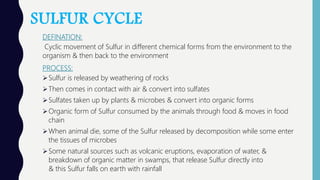 Sulphur cycle1 | PPTX