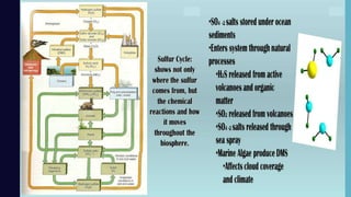 Sulphur cycle1 | PPTX