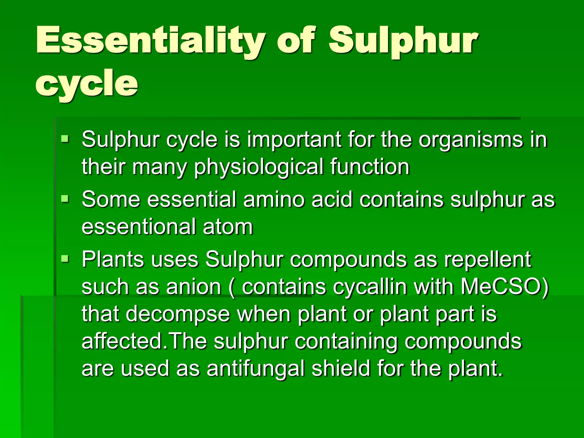 Sulphur cycle | PPT