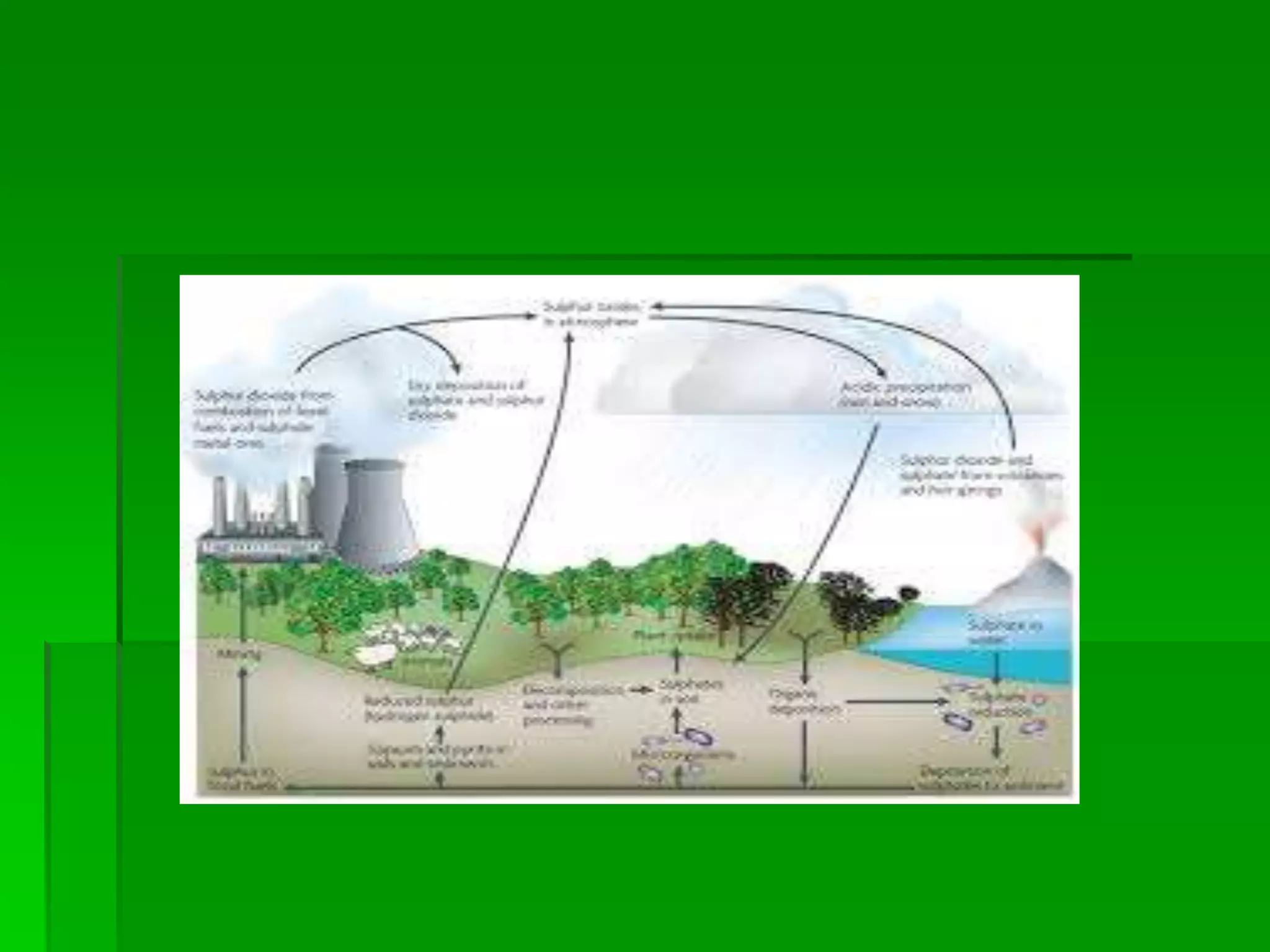 Sulphur cycle | PPT