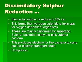 Sulphur cycle | PPT