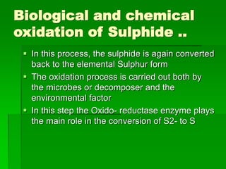 Sulphur cycle | PPT