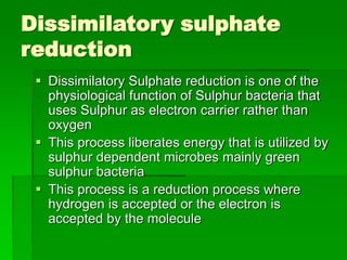 Sulphur cycle | PPT