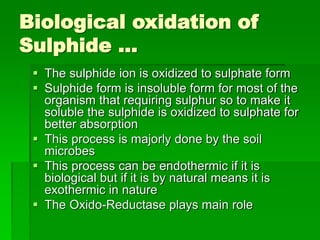 Sulphur cycle | PPT