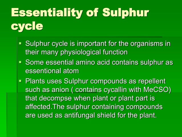 Sulphur cycle | PPT