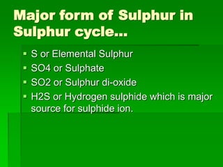 Sulphur cycle | PPT