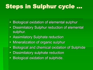 Sulphur cycle | PPT