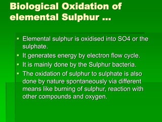 Sulphur cycle | PPT