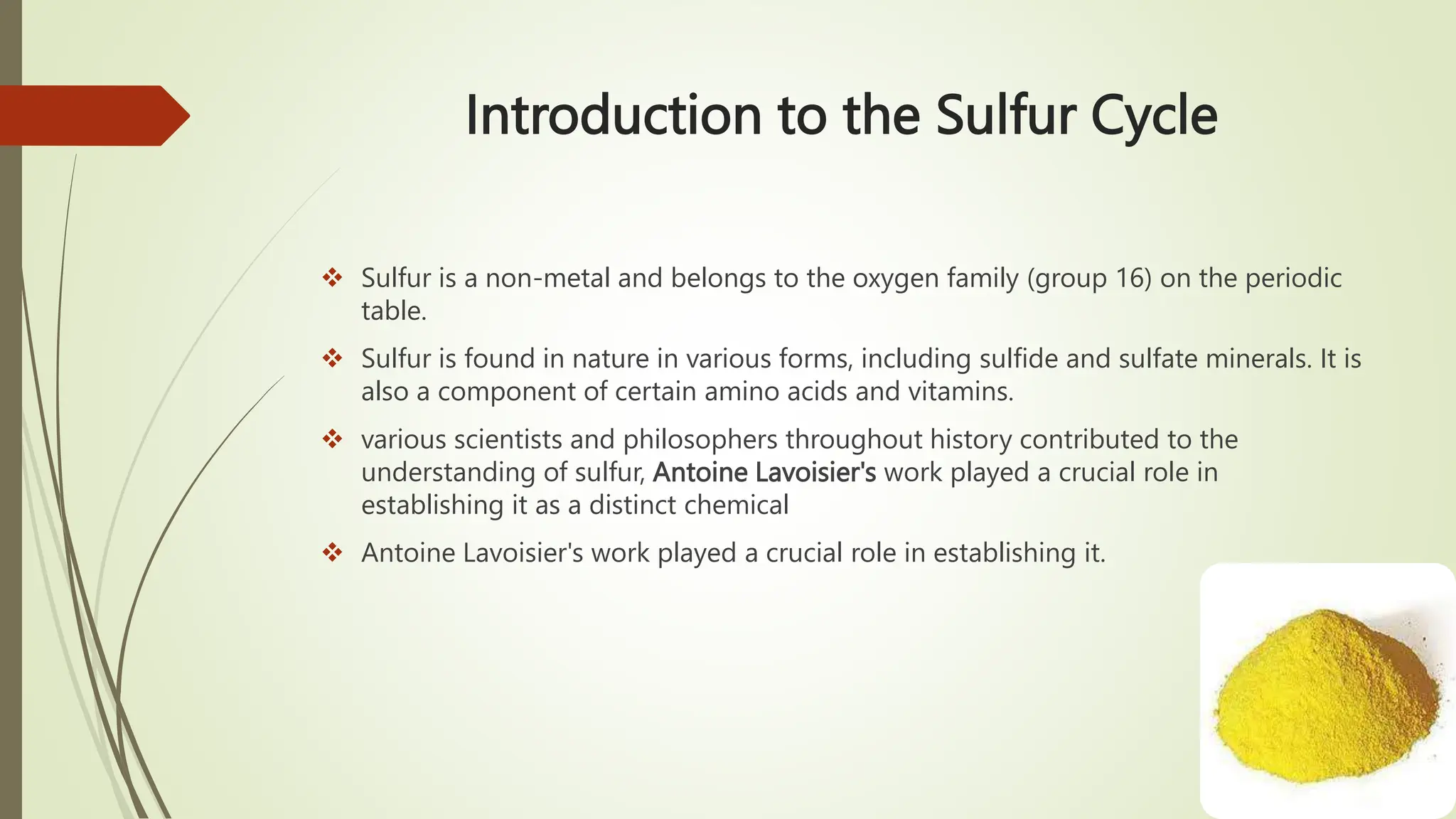 Sulphur cycle(Ecology) by Muhammad Ramzan.pptx | Chemistry | Science