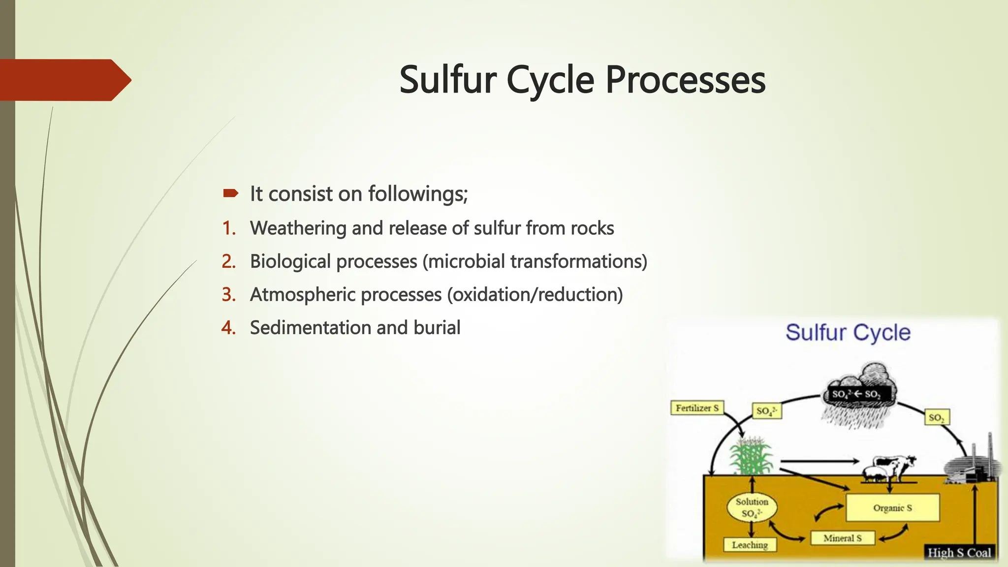 Sulphur cycle(Ecology) by Muhammad Ramzan.pptx