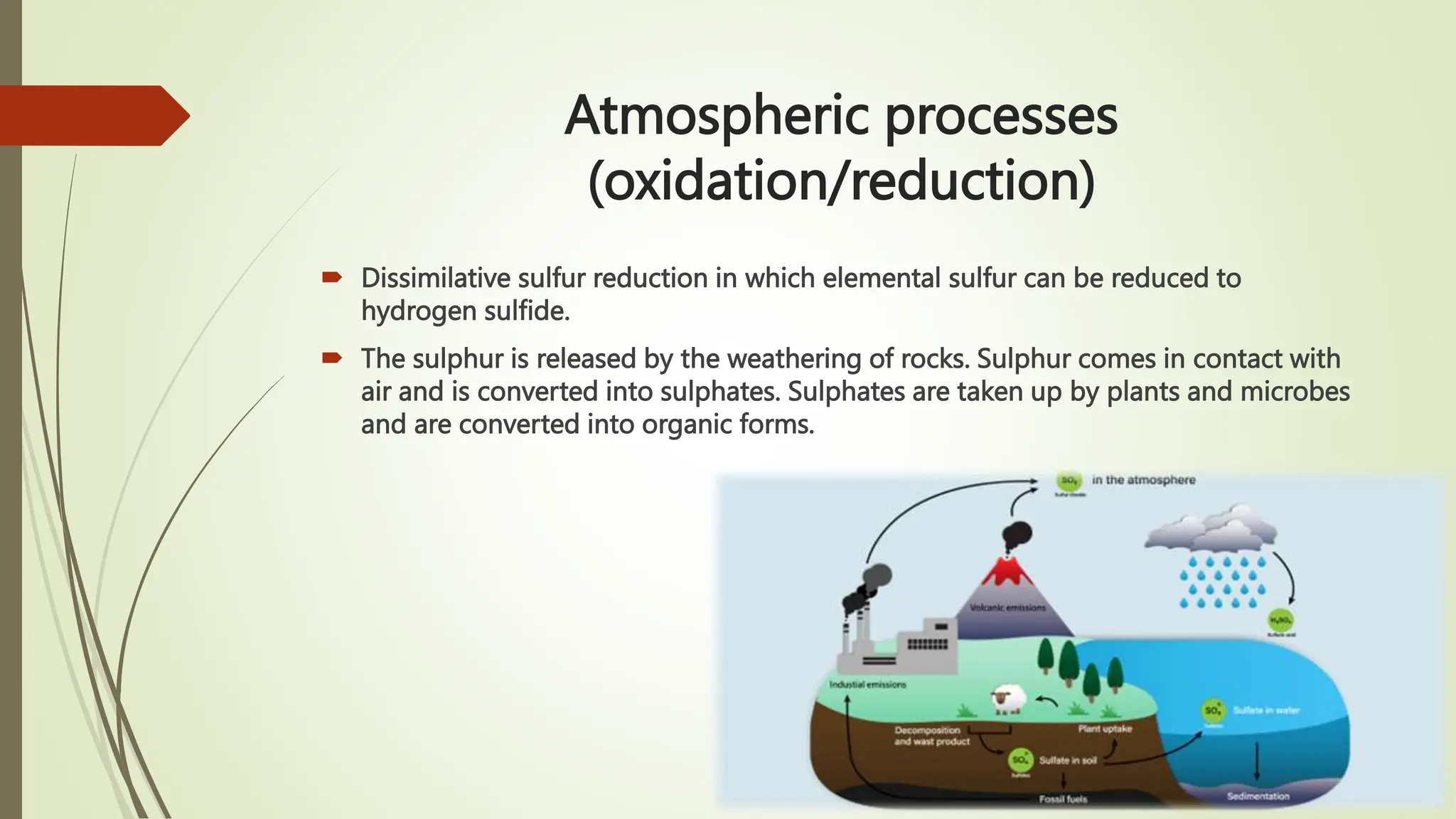 Sulphur cycle(Ecology) by Muhammad Ramzan.pptx