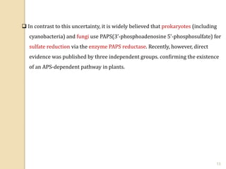 Sulphur metabolism | PPTX