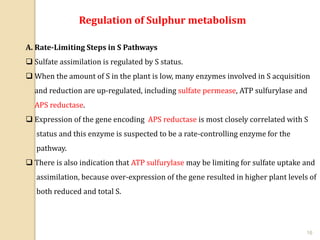 Sulphur metabolism | PPTX