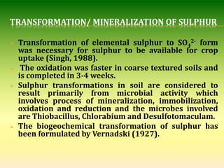 Sulphur nutrition in plants | PPTX