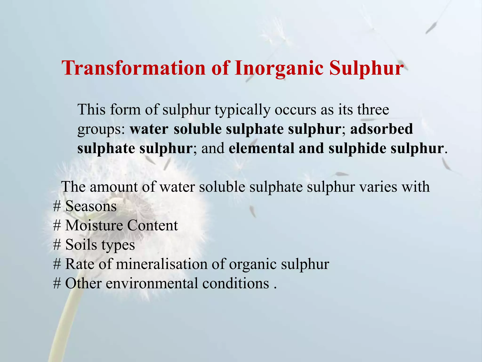 Sulfur Transformation | PPTX