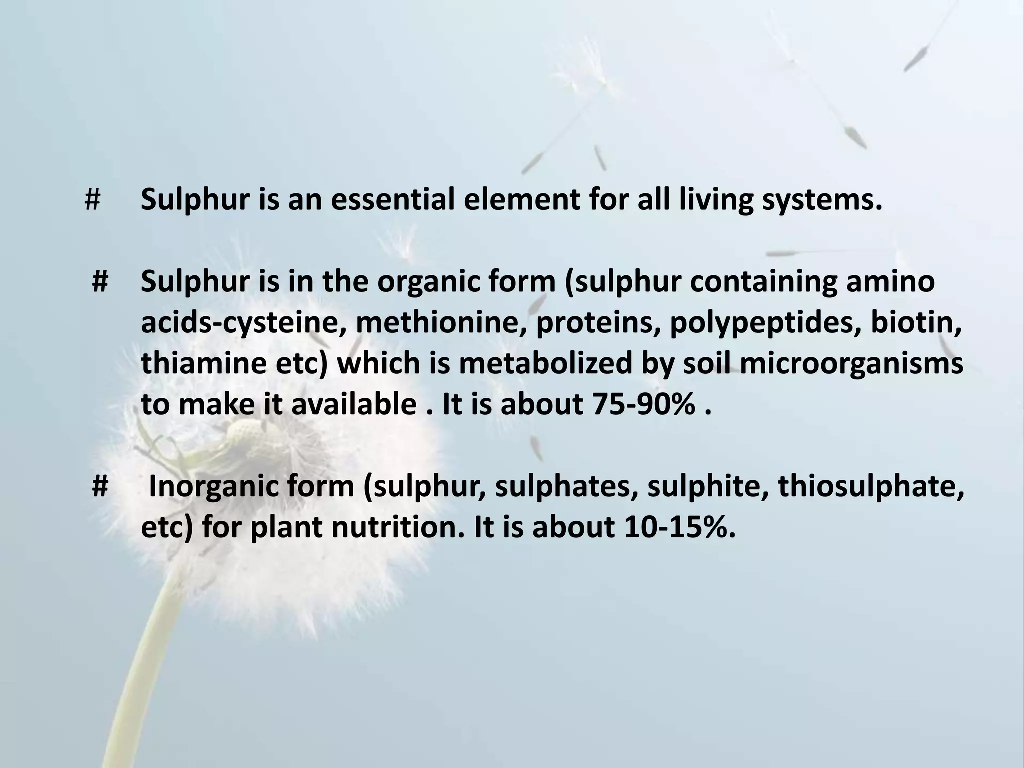 Sulfur Transformation | PPTX