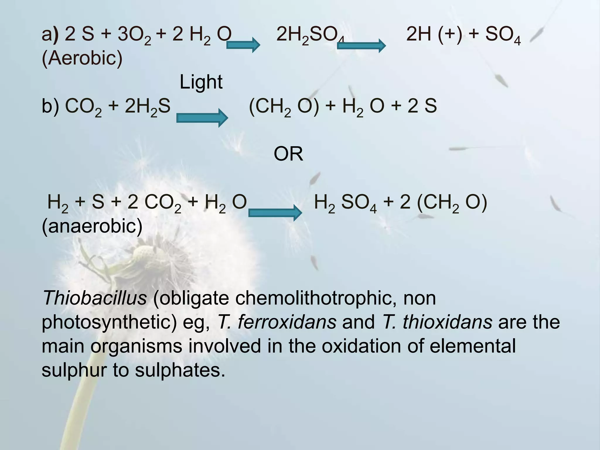 Sulfur Transformation | PPTX