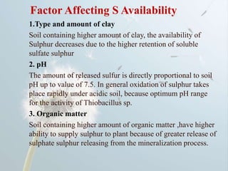 Sulfur Transformation | PPTX