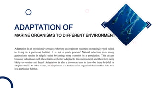 ADAPTATION OF MARINE ORGANISMS TO DIFFERENT ENVIRONMENT | PPTX