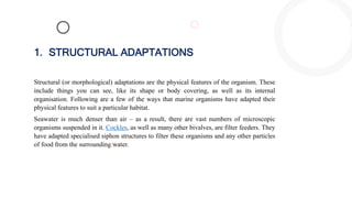 ADAPTATION OF MARINE ORGANISMS TO DIFFERENT ENVIRONMENT | PPTX