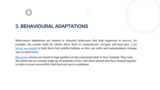 ADAPTATION OF MARINE ORGANISMS TO DIFFERENT ENVIRONMENT | PPTX