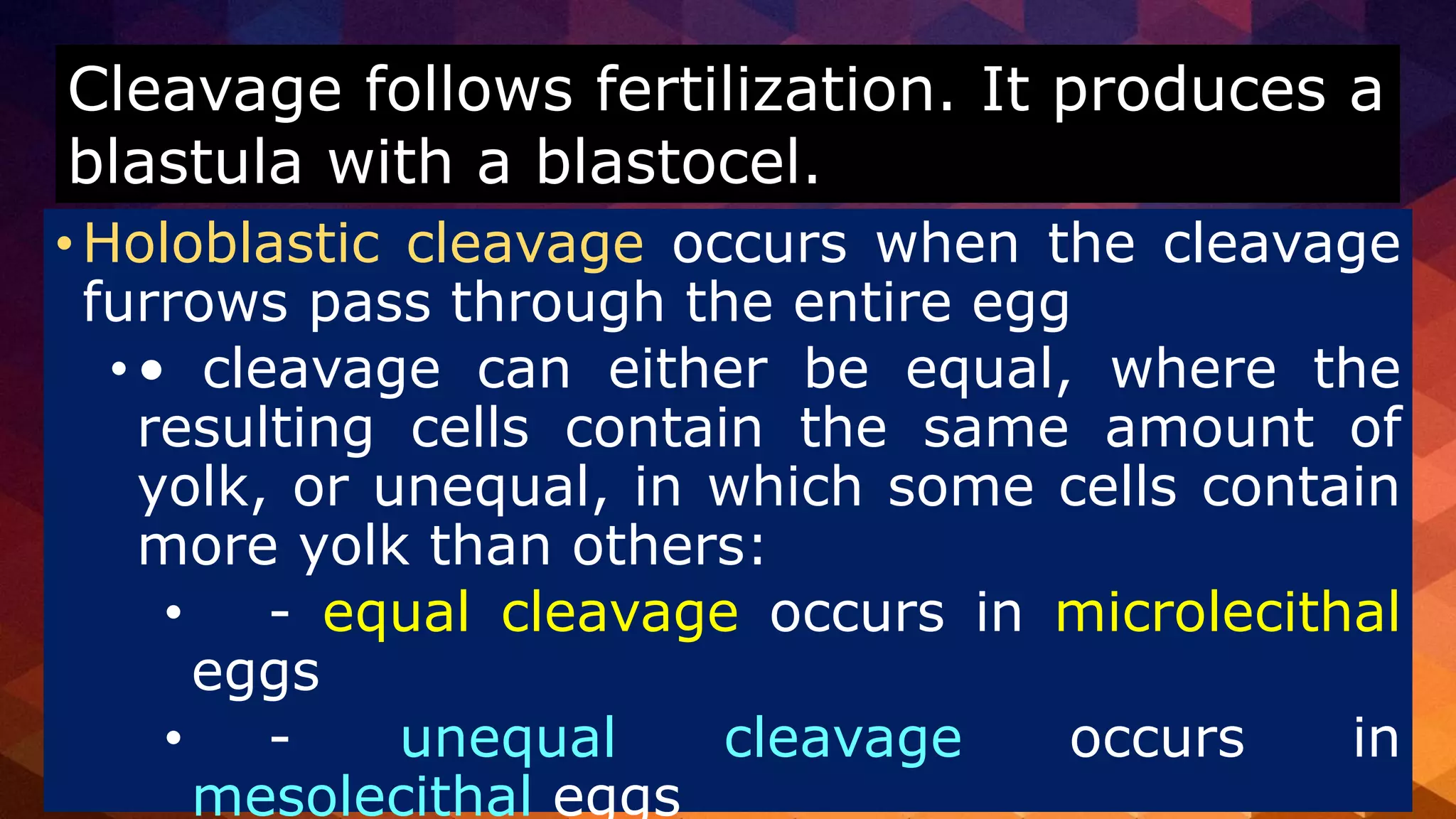 Comparative Anatomy of Vertebrates Chapter 5 Early Craniate ...