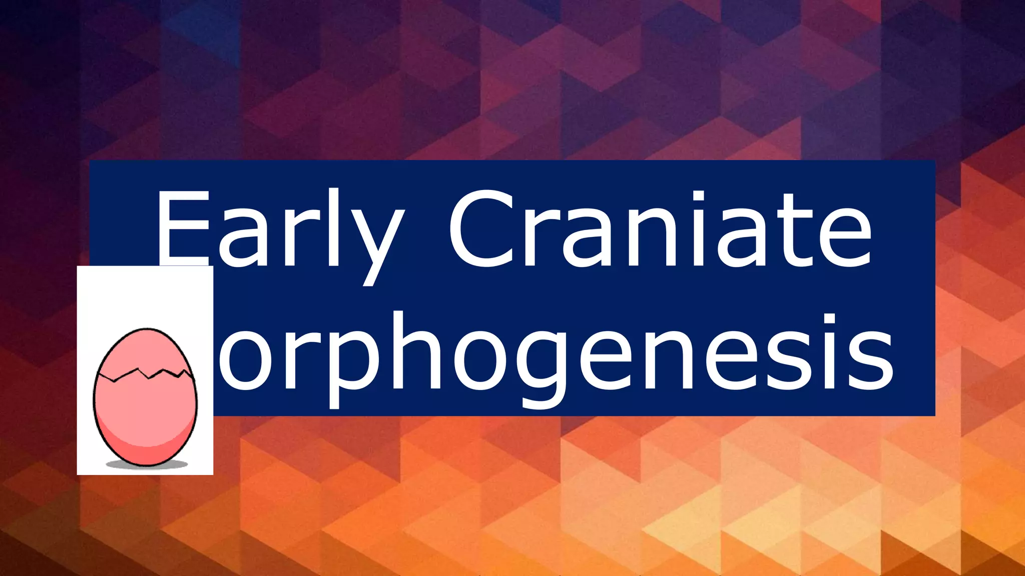 Comparative Anatomy of Vertebrates Chapter 5 Early Craniate ...