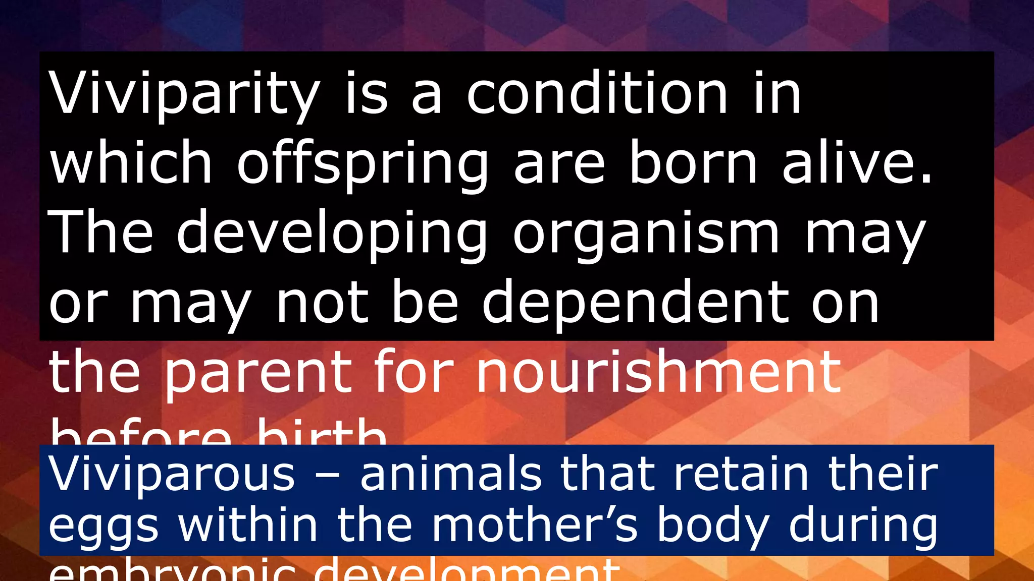 Comparative Anatomy of Vertebrates Chapter 5 Early Craniate ...