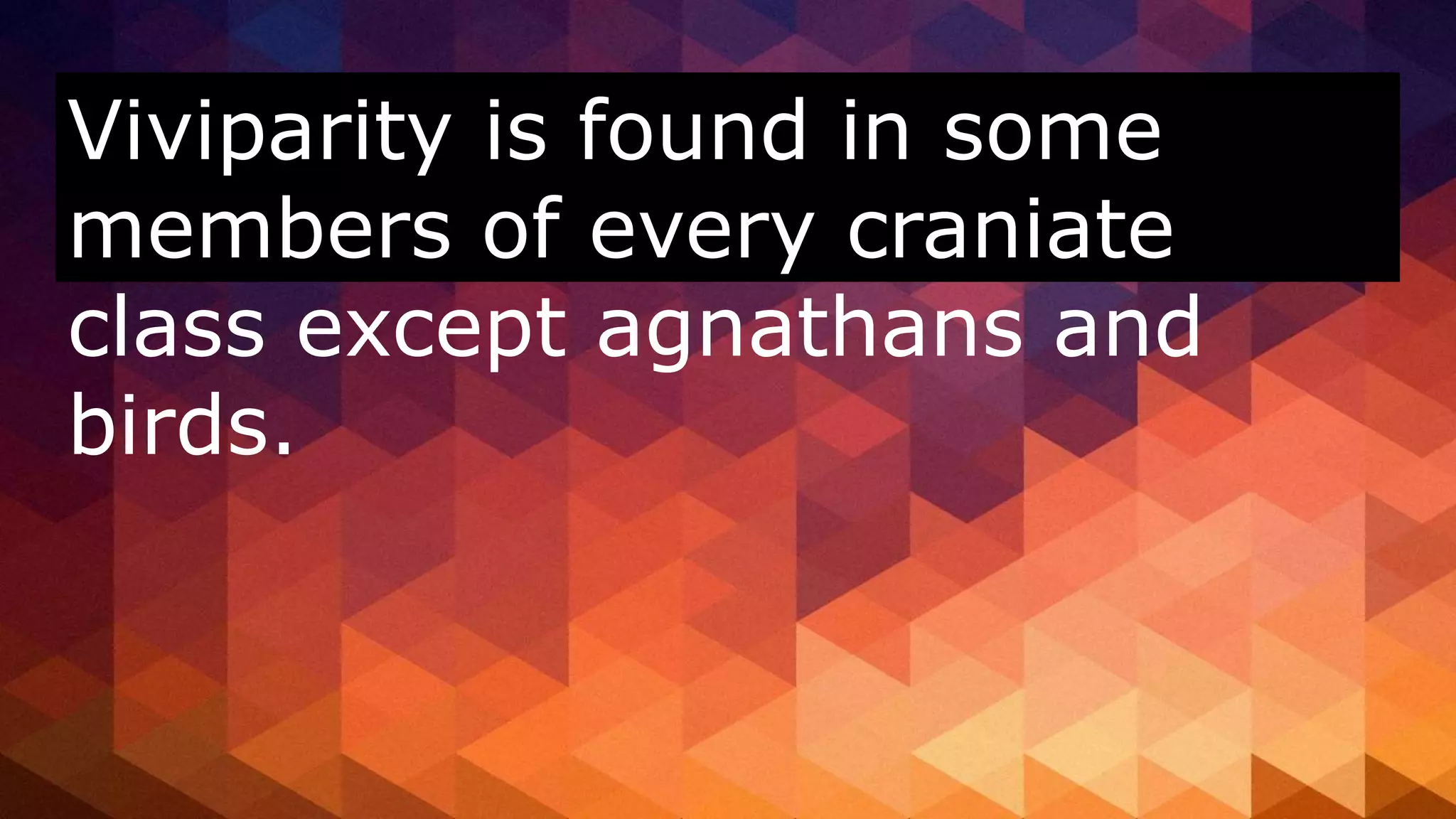 Comparative Anatomy of Vertebrates Chapter 5 Early Craniate ...