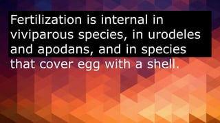 Comparative Anatomy of Vertebrates Chapter 5 Early Craniate ...