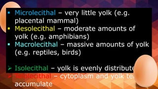 Comparative Anatomy of Vertebrates Chapter 5 Early Craniate ...