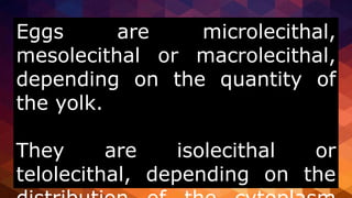 Comparative Anatomy of Vertebrates Chapter 5 Early Craniate ...