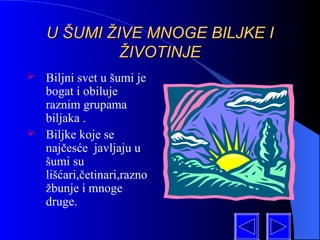 suma-kao-zivotna-zajednica zivotinja.ppt