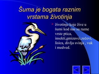 suma-kao-zivotna-zajednica zivotinja.ppt