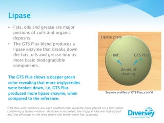 Public Sewer Grease Prevention Using Suma Drain GTS Plus By Diversey | PPTX