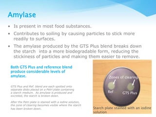 Public Sewer Grease Prevention Using Suma Drain GTS Plus By Diversey | PPTX