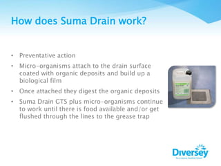 Public Sewer Grease Prevention Using Suma Drain GTS Plus By Diversey | PPTX