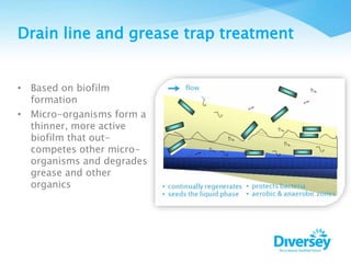 Public Sewer Grease Prevention Using Suma Drain GTS Plus By Diversey | PPTX