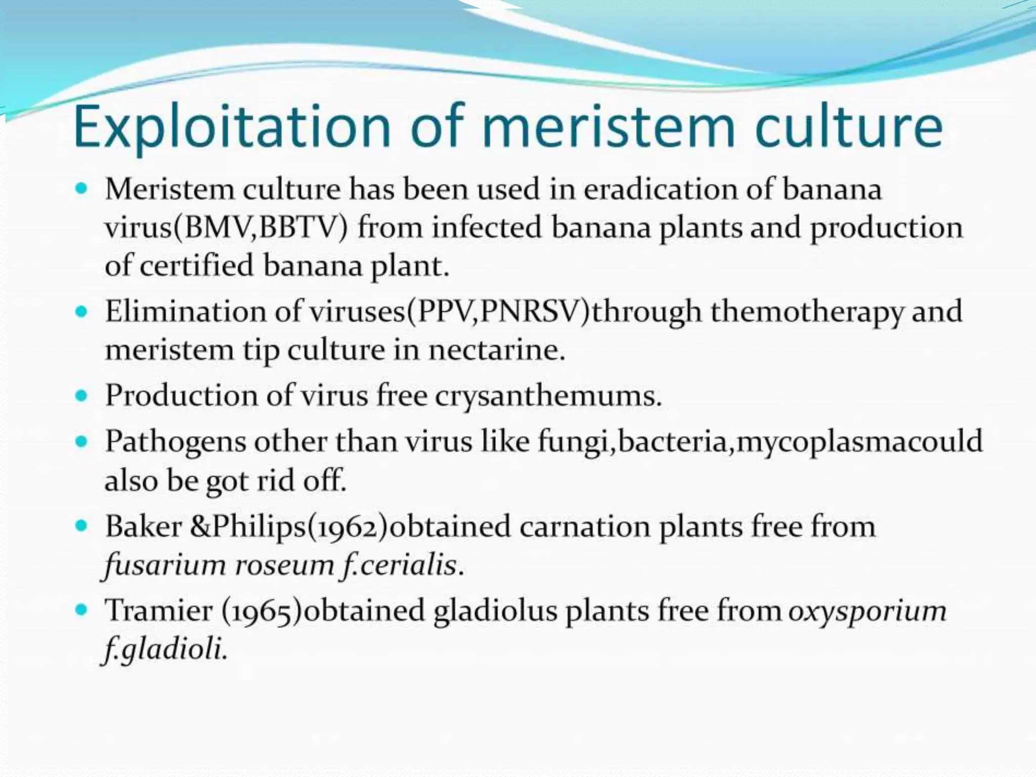 Meristem culture | PPTX