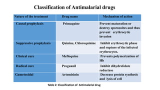 Apicoplast: an excellent target for antimalarial drug development | PPTX