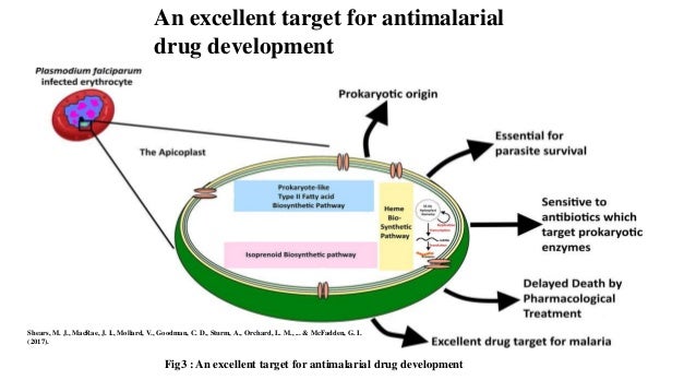 Apicoplast: an excellent target for antimalarial drug development