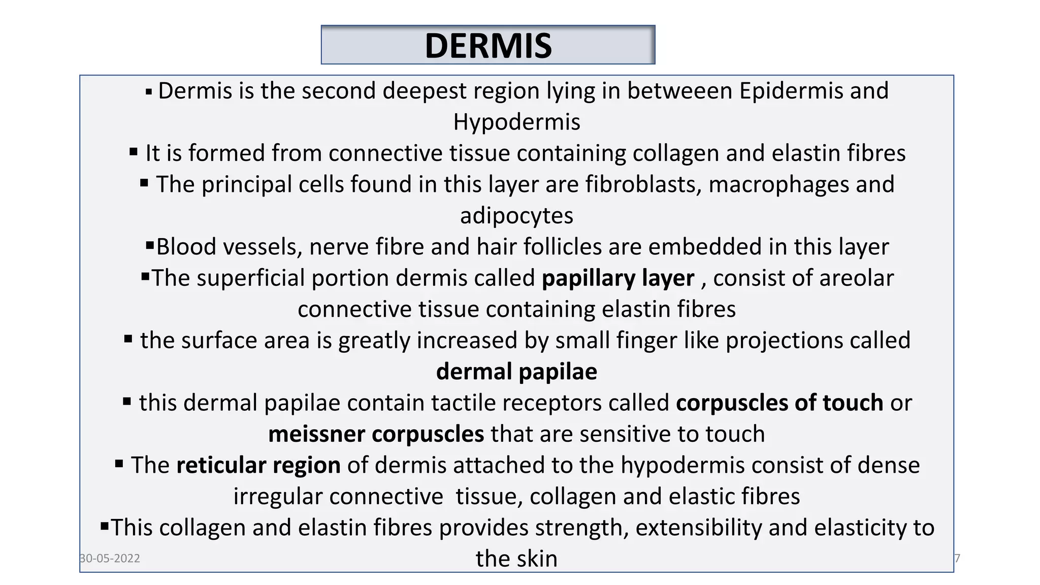 Structure And function of skin .pdf