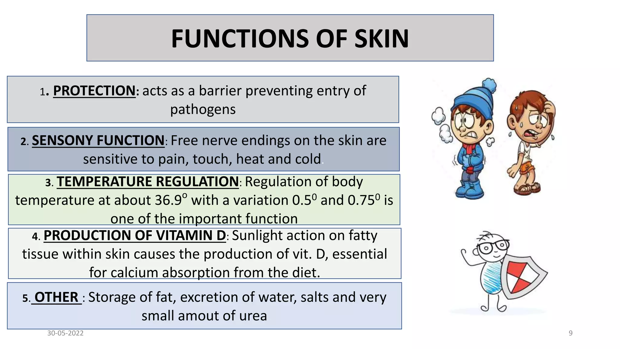 Structure And function of skin .pdf