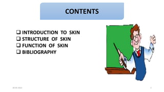 Structure And function of skin .pdf | Skin and Dermatology | Diseases ...