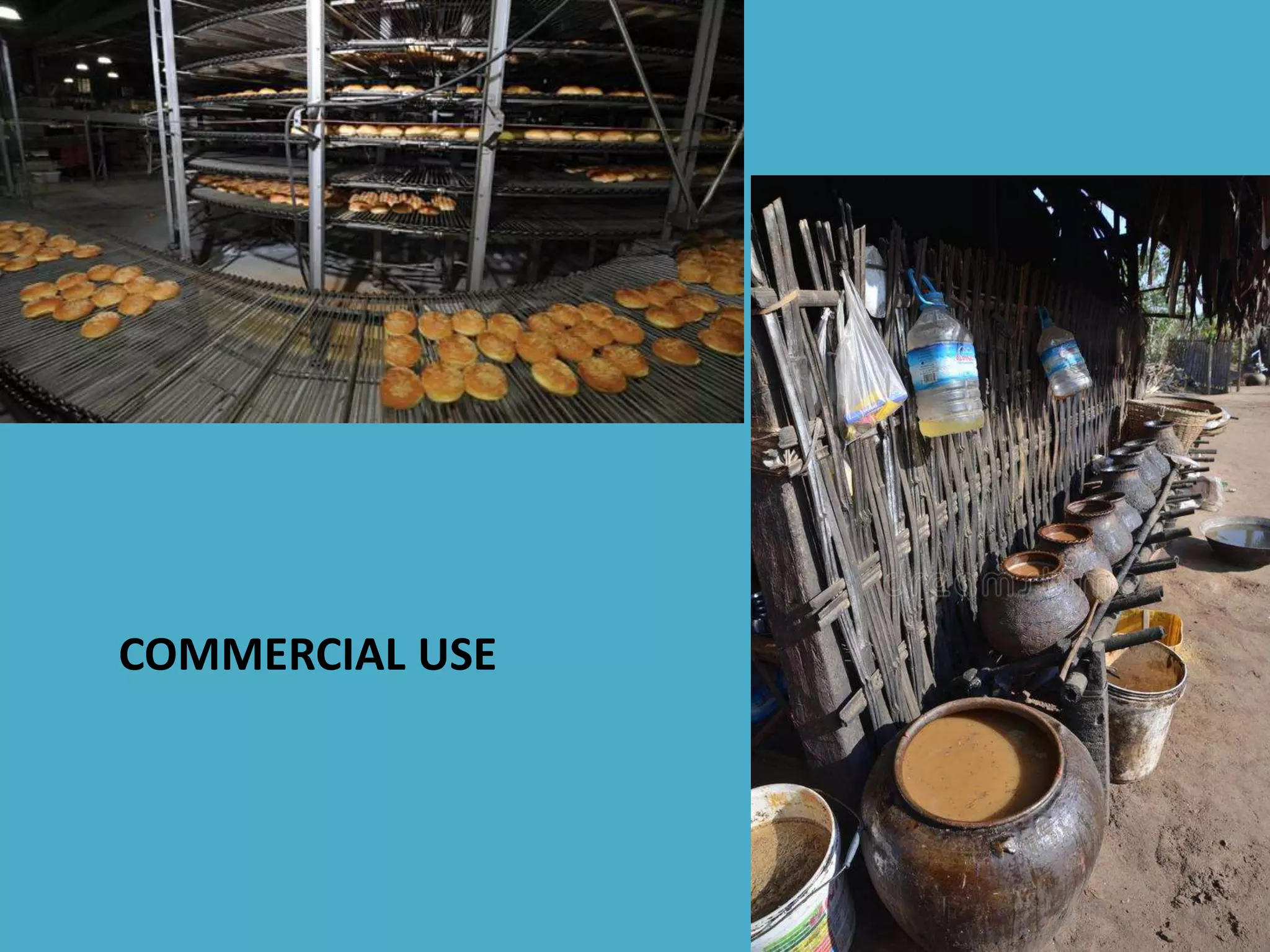 Medicinal use of Micro-organisms - Class 8 | PPTX